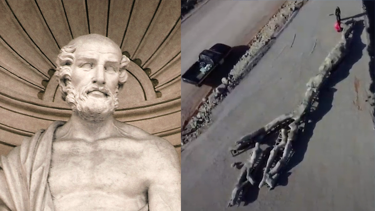 Intact Ancient Petrified Tree Found Near 'Father of Botany's' Hometown