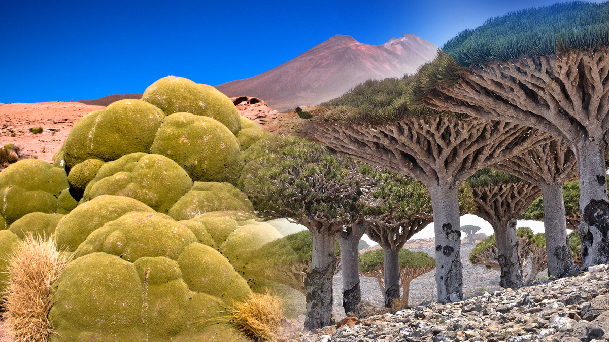 Two of the Most Alien-Like Places on the Planet