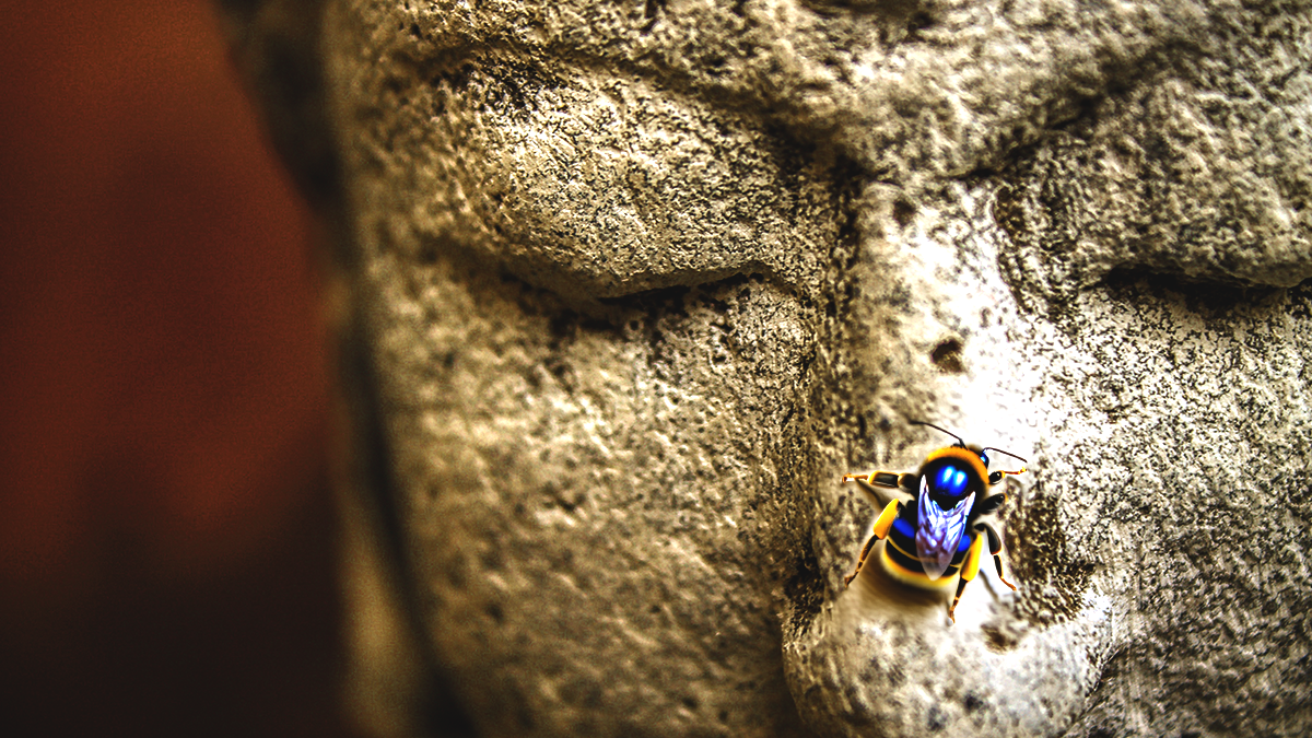 Exploring Where and Why Everyone Dreams, from Bees to Buddha